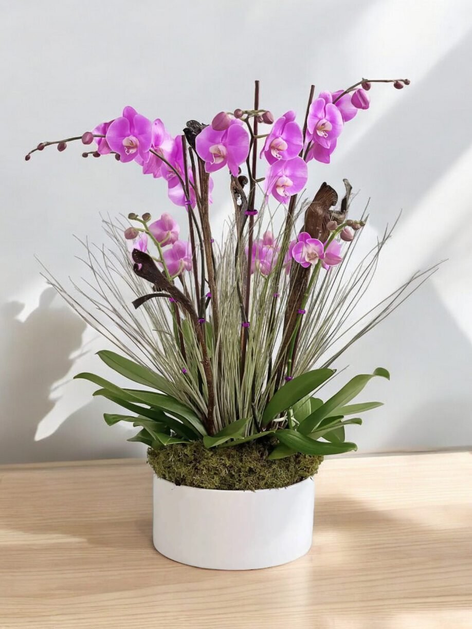 VivaFlowers Boca Raton Flower Shop. Same-day Delivery
