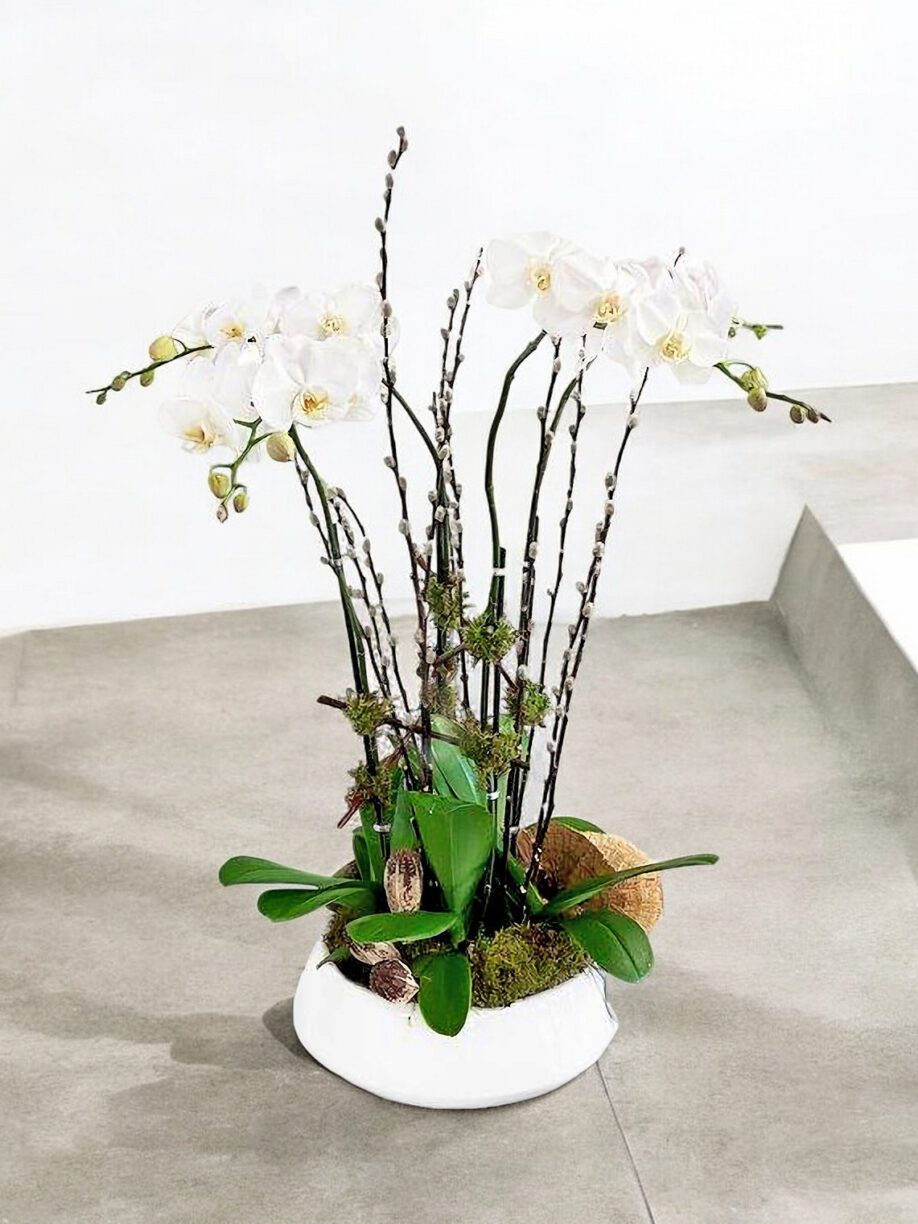 Viva Flowers of Boca Raton