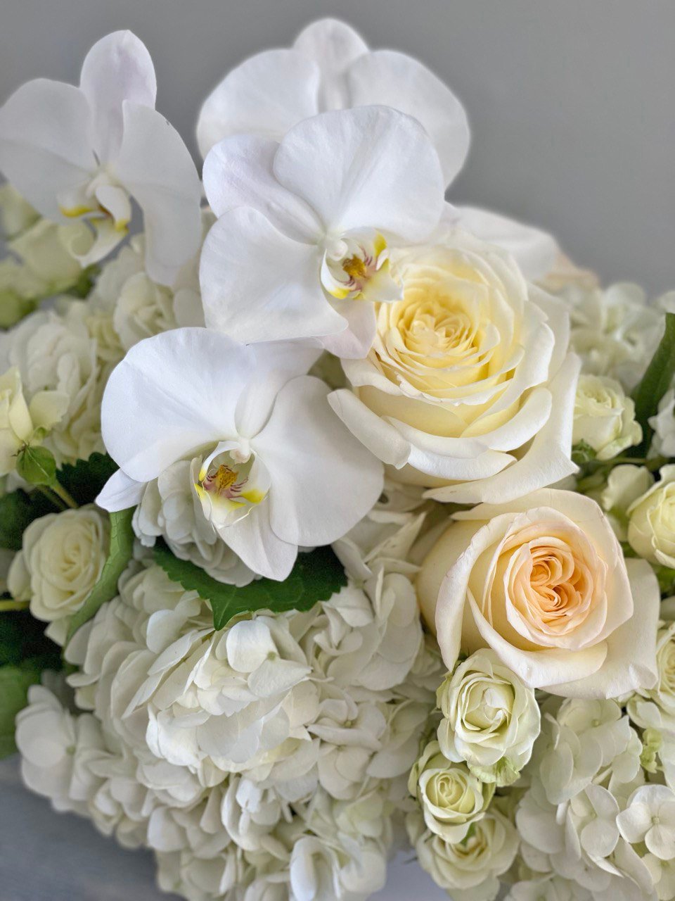 La Bella: roses, orchids and hydrangeas - Viva Flowers of Boca Raton