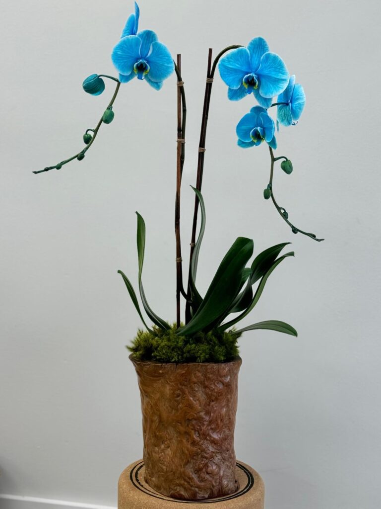 The Best Flower Arrangements for Men: A Comprehensive Guide