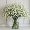 The Delicate Beauty of Gypsophila in Flower Arrangements