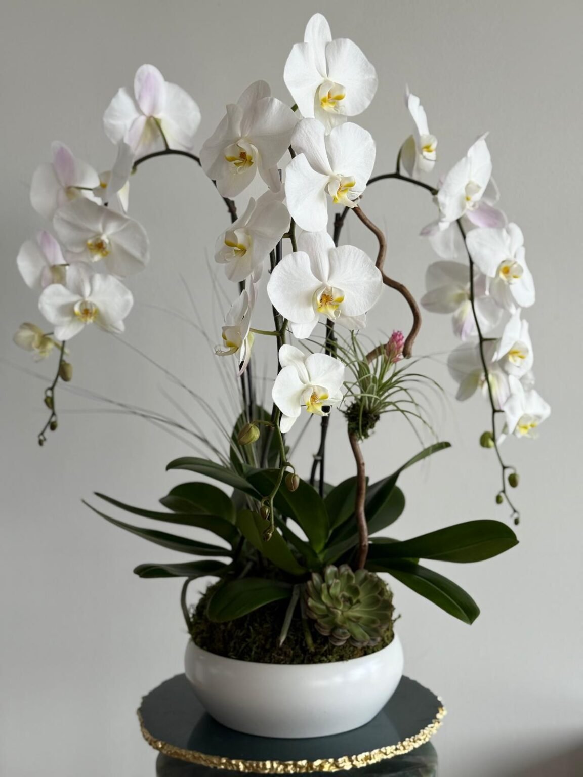 Pure Perfection: triple orchids | Buy flowers Boca Raton